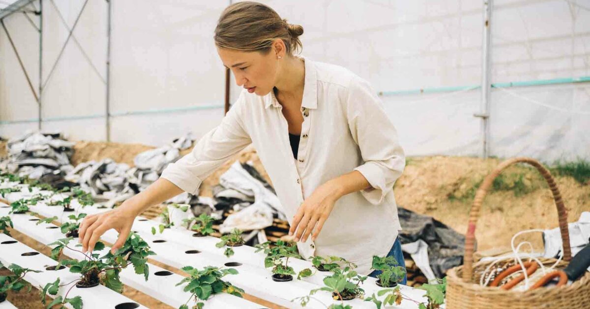 Sanitary Sewer Infrastructure | City of Virginia Beach